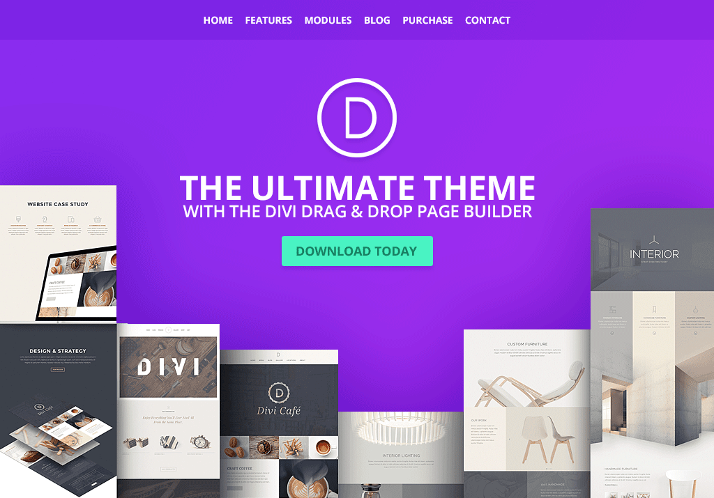  Divi Extra Divi Builder WordPress